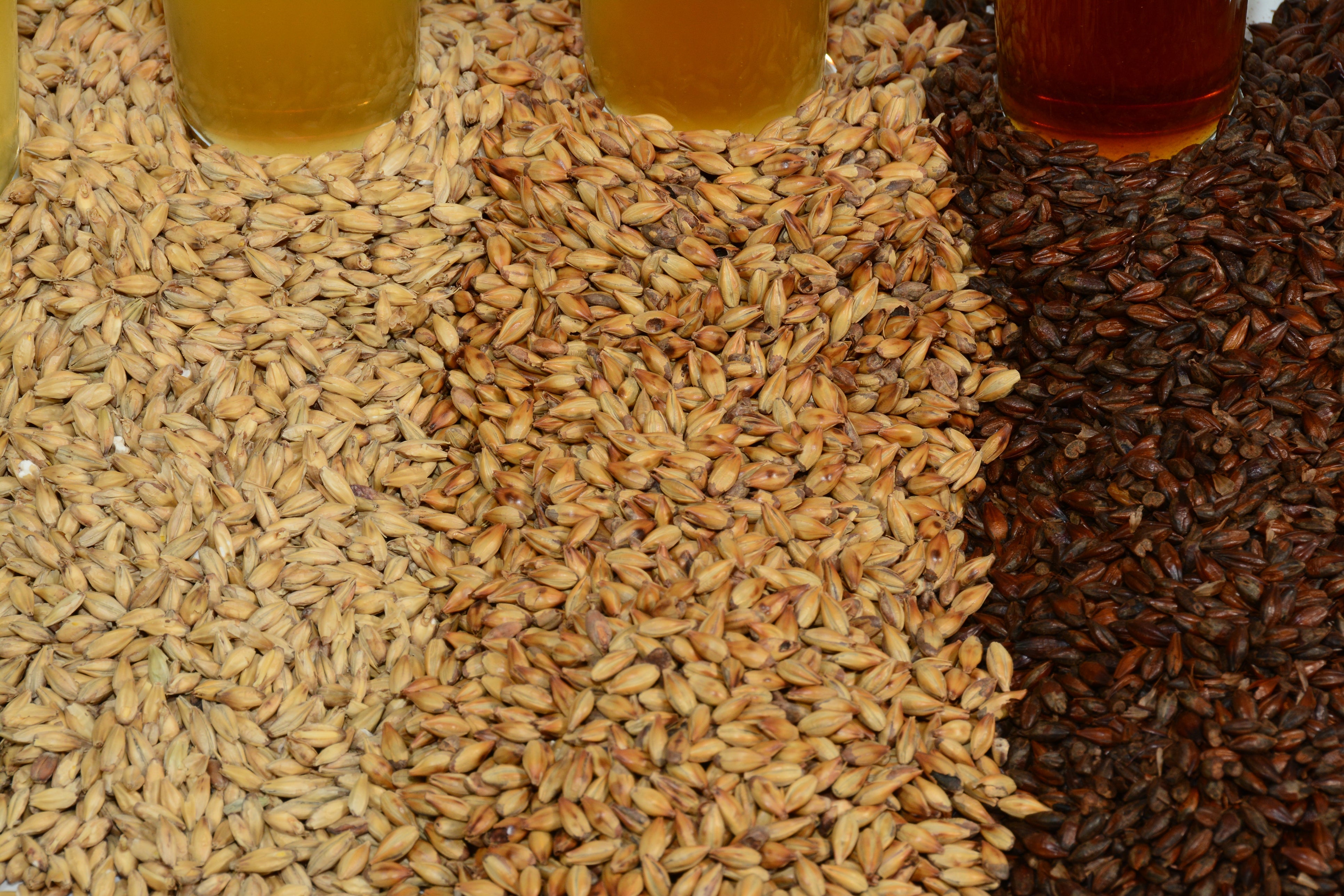 Unhopped Malt Extracts – Demon Brewing Co.