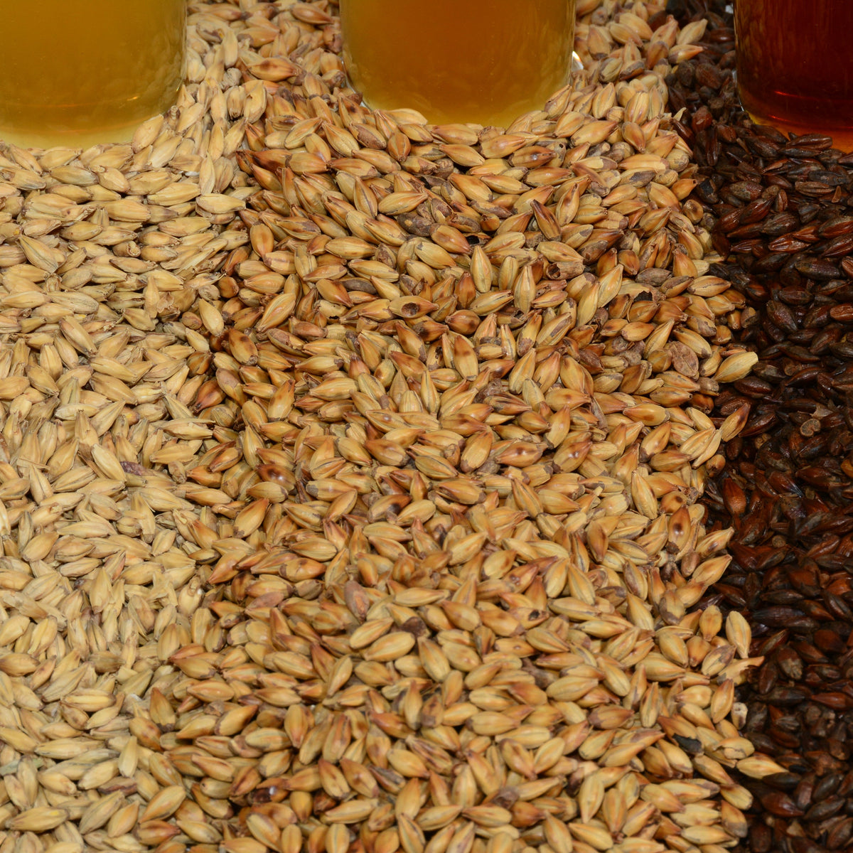 Unhopped Malt Extracts – Demon Brewing Co.